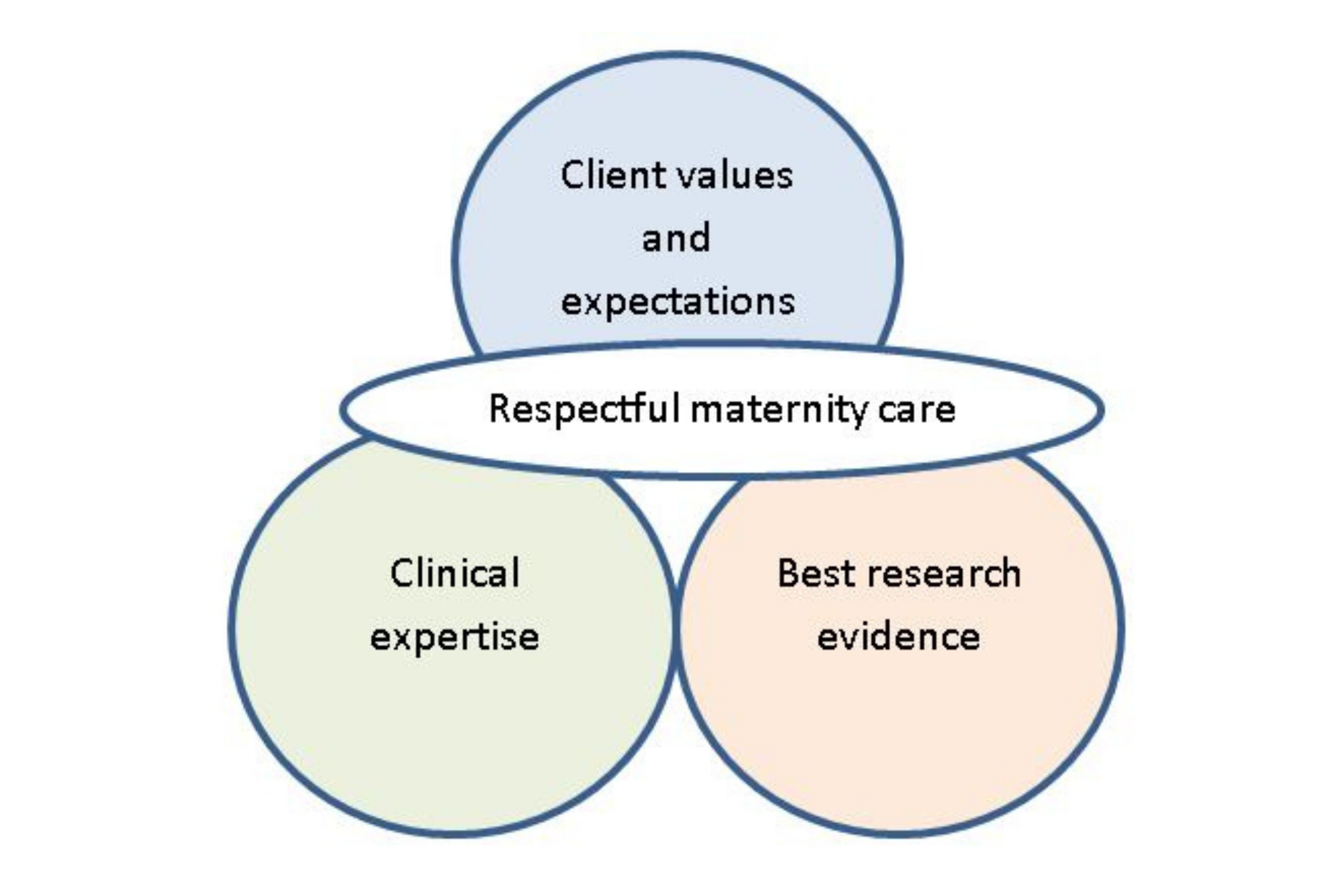 Protecting the future health of all Australians - Maternal Health Matters